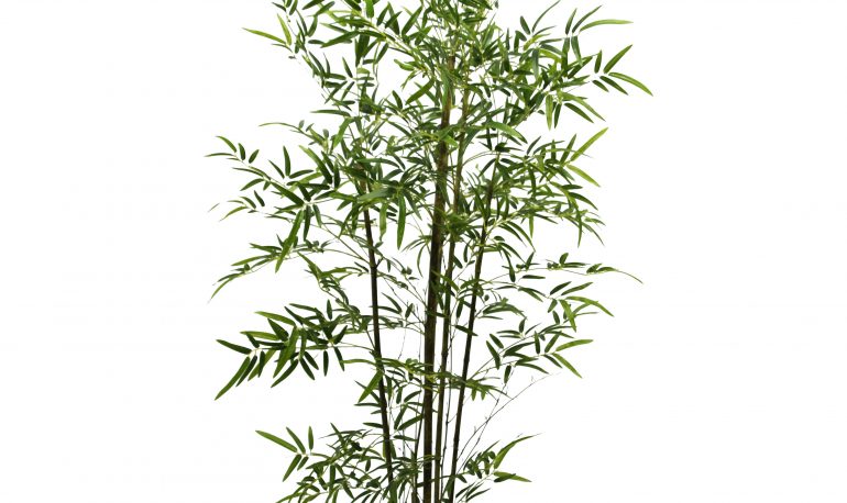 Artificial Chinese bamboo tree for indoor home garden decorative green ...