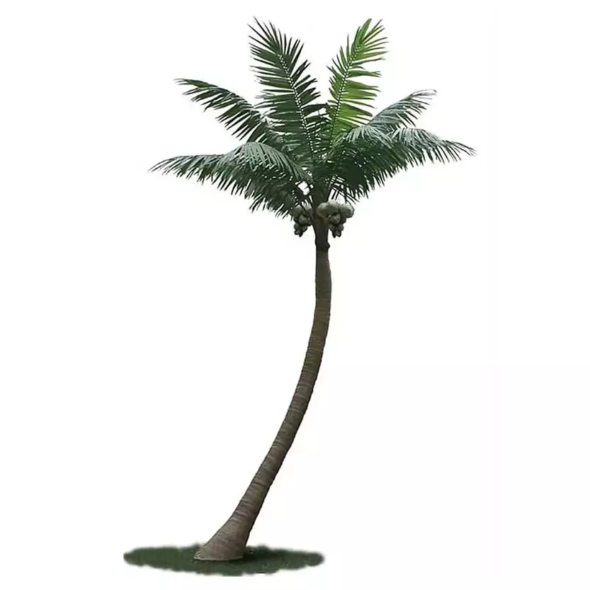Artificial Coconut Tree 3m 5m 8m 10m - Sen Masine