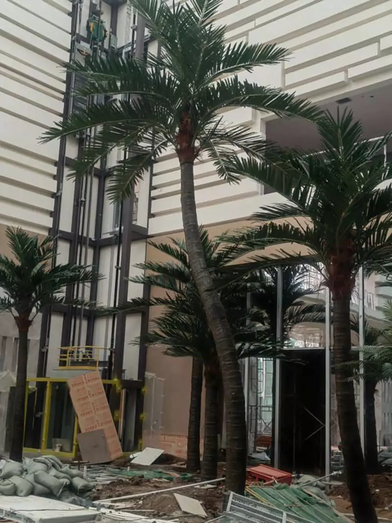 Artificial Coconut Tree 3m 5m 8m 10m - Sen Masine
