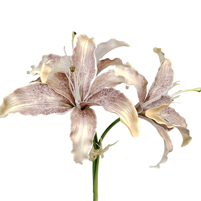 HR8117 Artificial Lily - Sen Masine