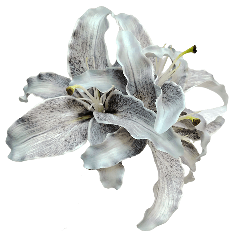 HR8117 Artificial Lily - Sen Masine