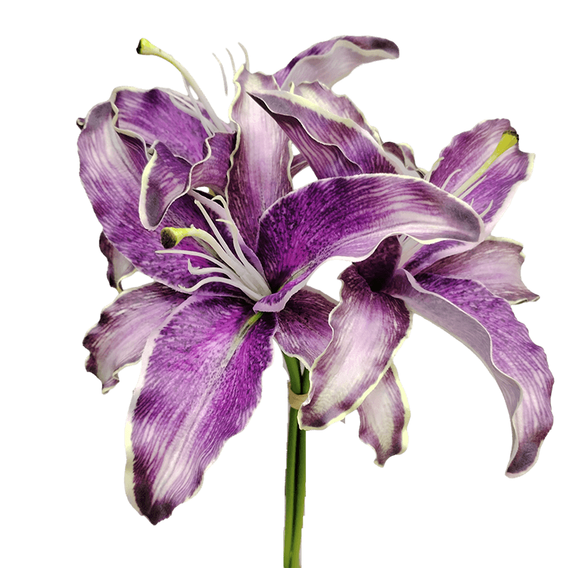 HR8117 Artificial Lily - Sen Masine