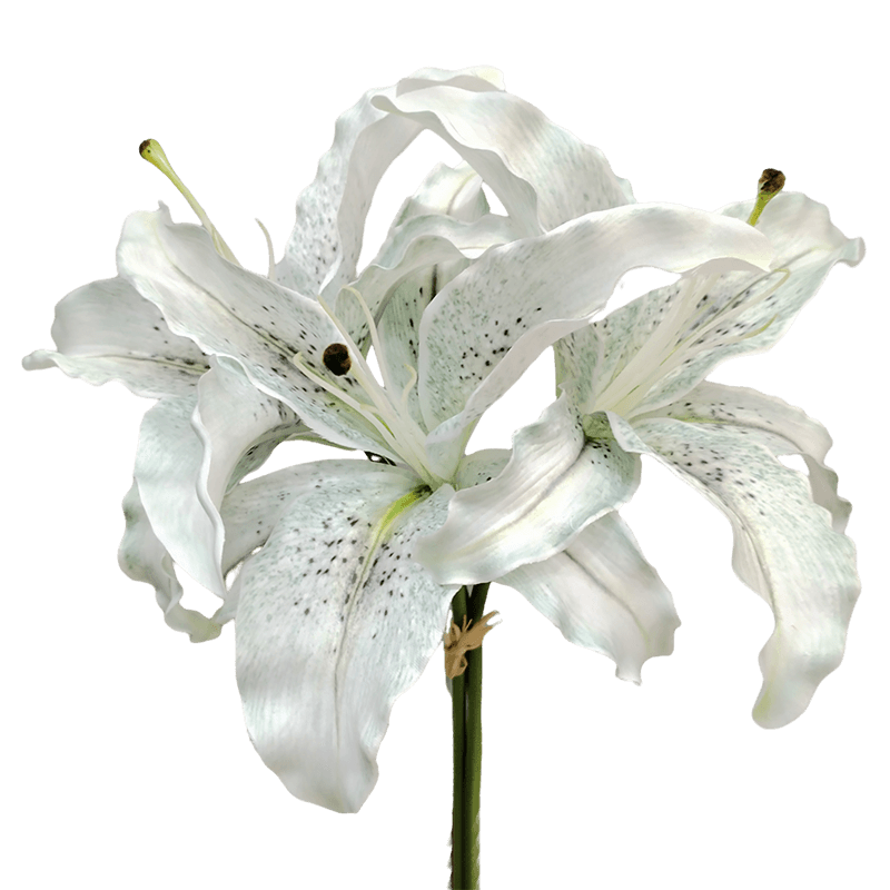 HR8117 Artificial Lily - Sen Masine