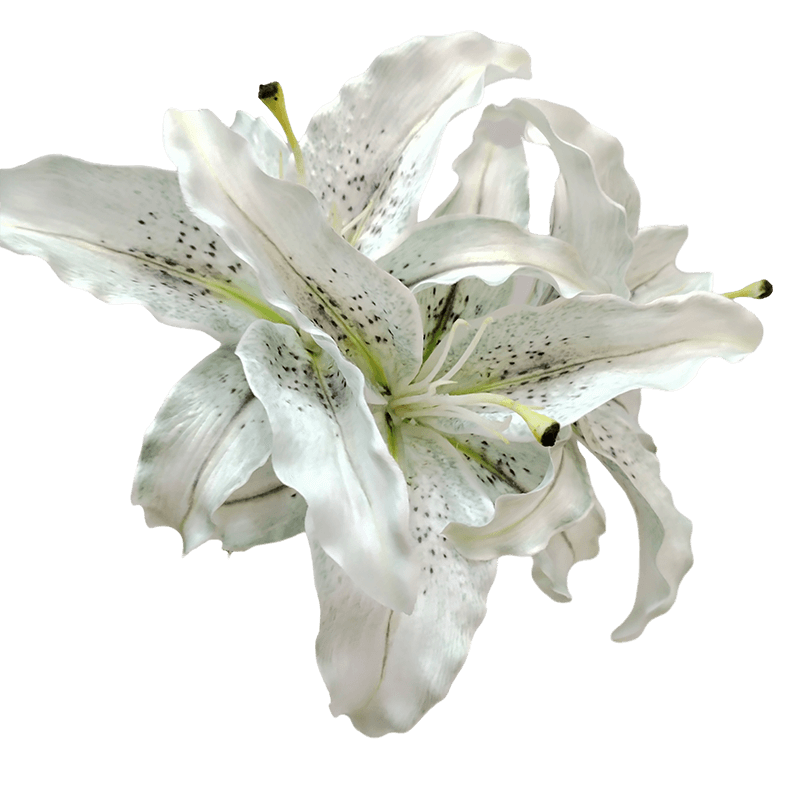 HR8117 Artificial Lily - Sen Masine