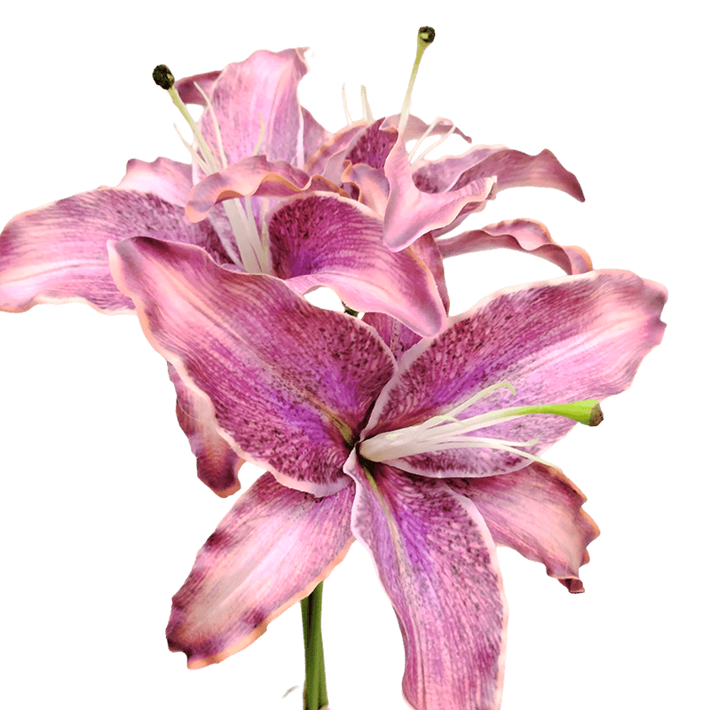 HR8117 Artificial Lily - Sen Masine