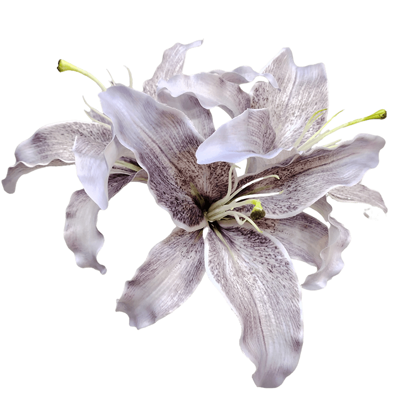 HR8117 Artificial Lily - Sen Masine