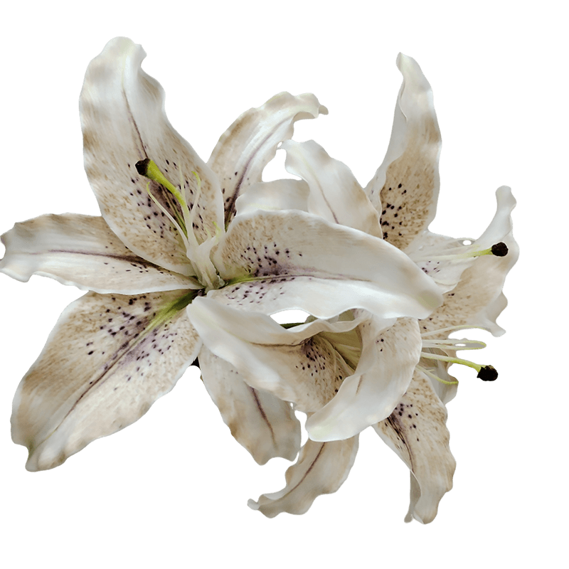 HR8117 Artificial Lily - Sen Masine