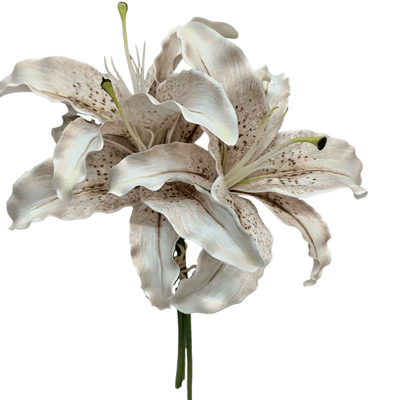 HR8117 Artificial Lily - Sen Masine
