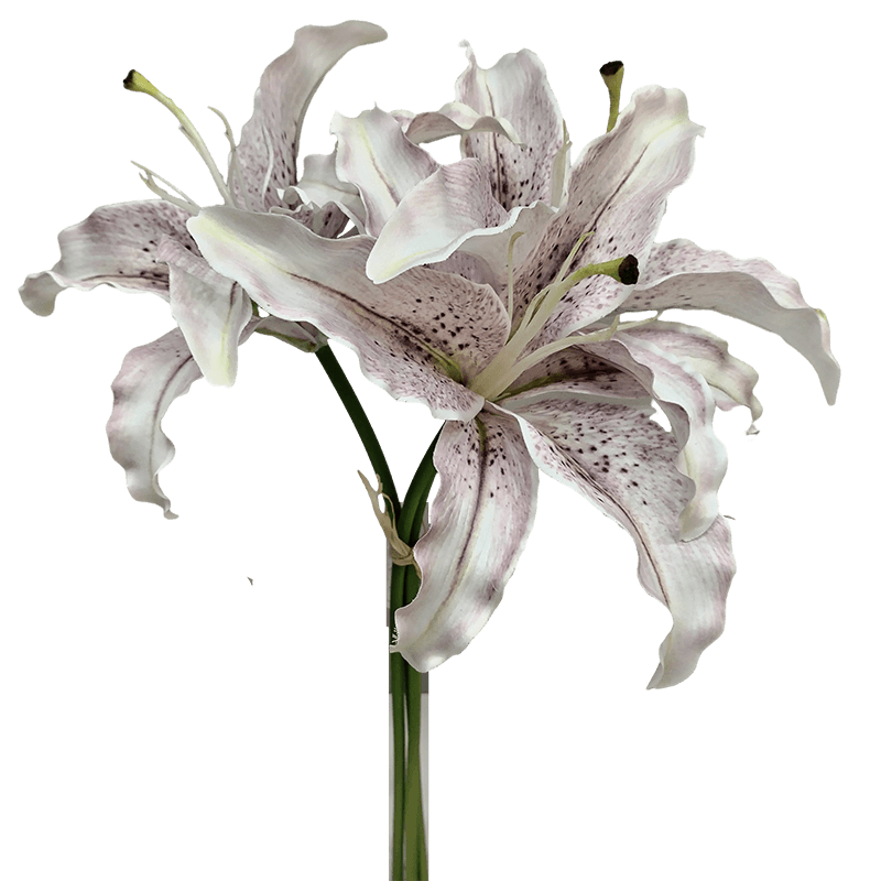 HR8117 Artificial Lily - Sen Masine